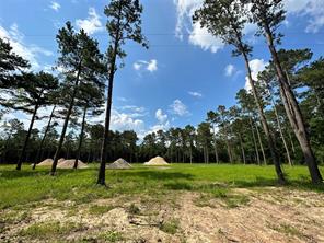 900 County Road 301 N, dayton, TX 77535 - HAR.com