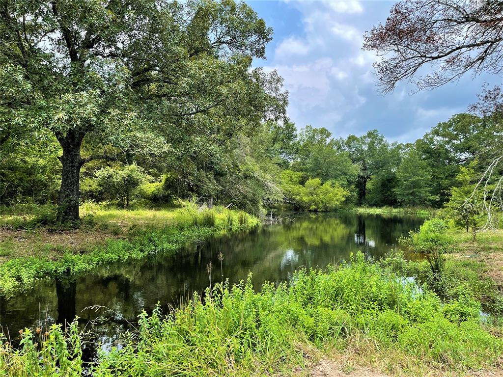 1075 FM 489, Oakwood, TX 75855 - HAR.com