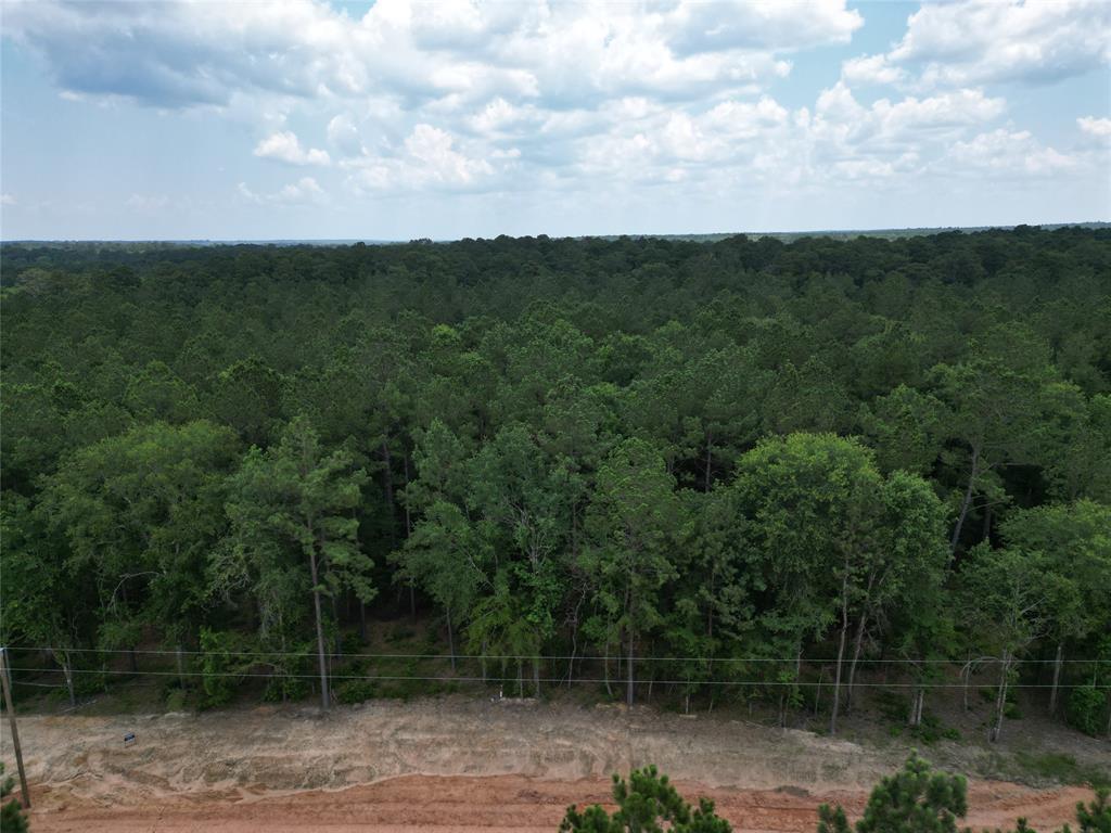 26 Acres Queen Anne Way, Huntsville, TX 77340 - HAR.com