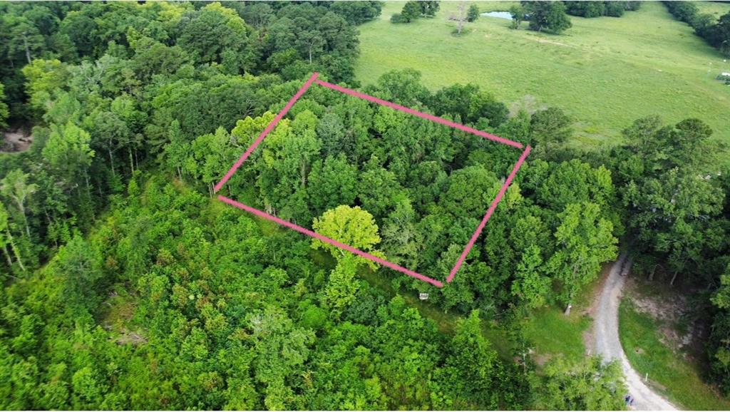 TBD State Highway Loop 116 Livingston, Texas, United States – Home For Sale